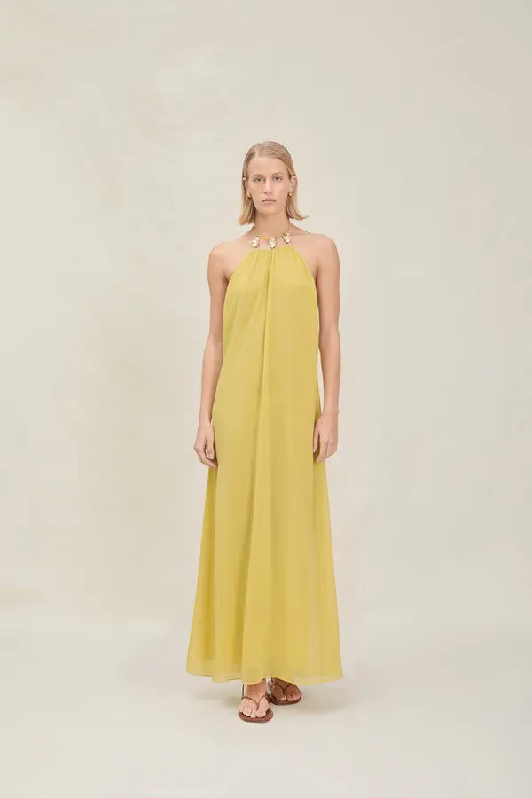 Devon Windsor April Maxi Dress