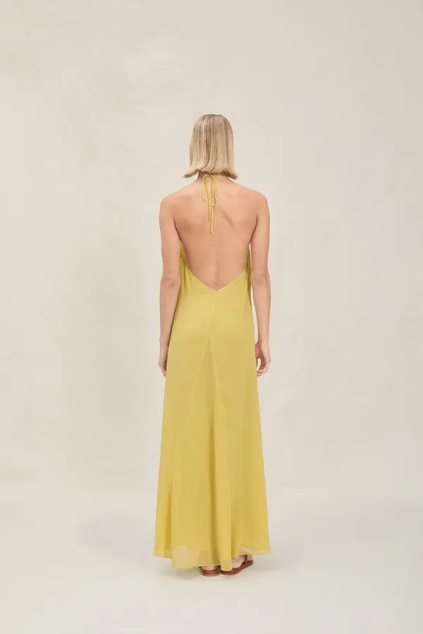 Devon Windsor April Maxi Dress