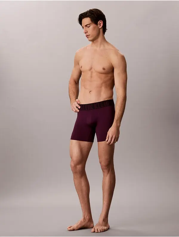 Calvin Klein Intense Power Micro 3-pack Boxer Brief - Poseidon Blue Multi