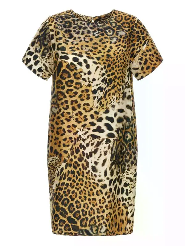 Roberto Cavalli Leopard-print Mini Dress