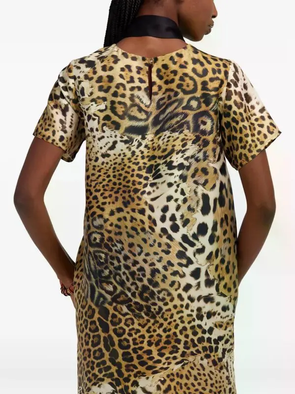 Roberto Cavalli Leopard-print Mini Dress