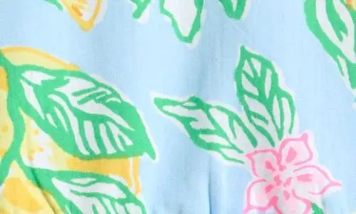 Lilly Pulitzer® Lou Lou Dress