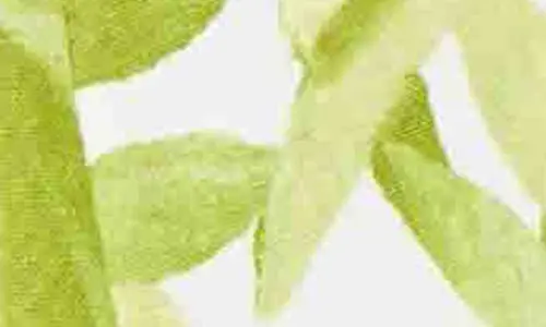 KASPER Leaf Print Linen Blend Jacket