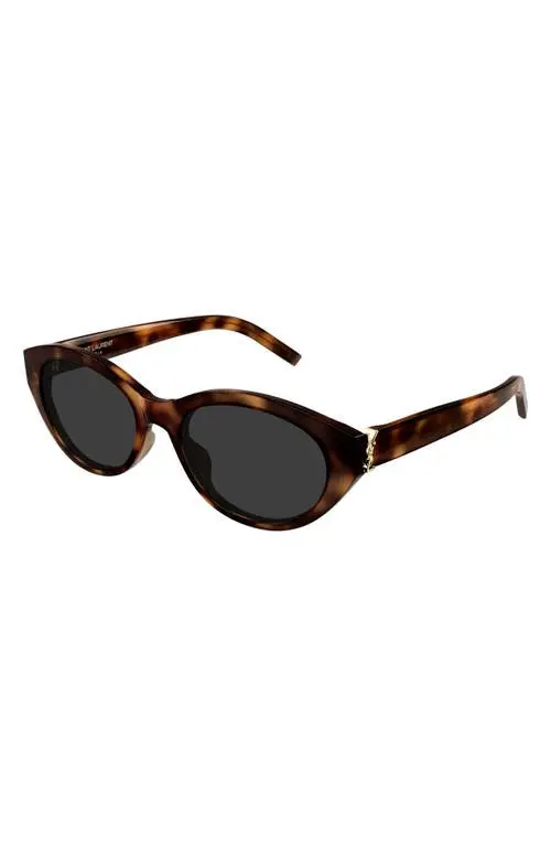 Saint Laurent Sl M148 54mm Panthos Sunglasses - Havana