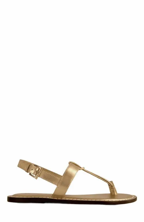 Bernardo Maverick 2 Toe Ring Sandal - Gold