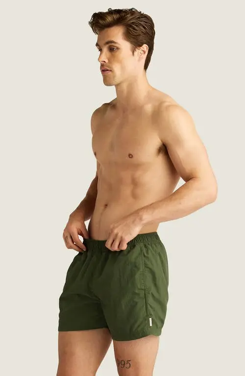 AUTO-REPLY™ Sebastian Solid 4-inch Nylon Swim Trunks - Moss