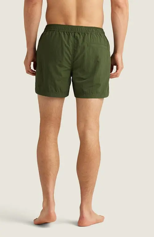 AUTO-REPLY™ Sebastian Solid 4-inch Nylon Swim Trunks - Moss