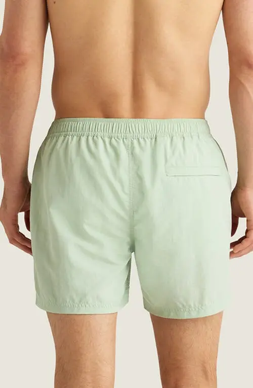 AUTO-REPLY™ Sebastian Solid 4-inch Nylon Swim Trunks - Overcast