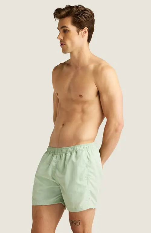 AUTO-REPLY™ Sebastian Solid 4-inch Nylon Swim Trunks - Overcast