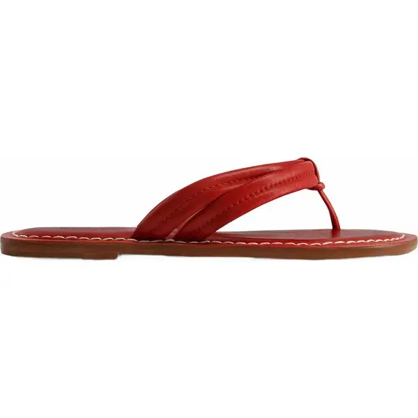 Bernardo Miami Thong Sandal - Red