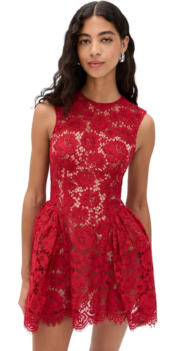 Self-Portrait Fine Lace Mini Dress In Red - 50% Off | Editorialist