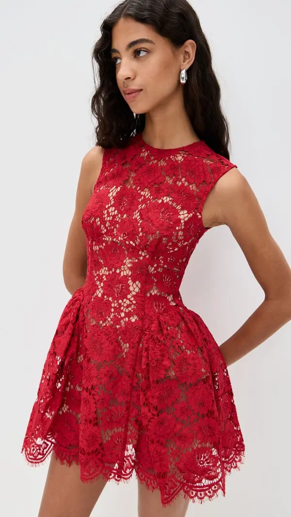 Self-Portrait Fine Lace Mini Dress In Red - 50% Off | Editorialist