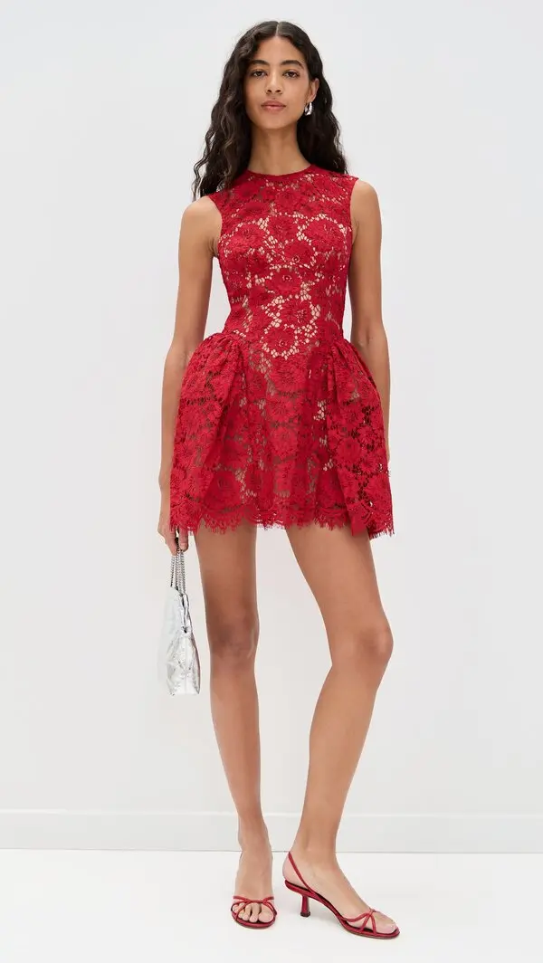 Self-Portrait Fine Lace Mini Dress In Red - 50% Off | Editorialist