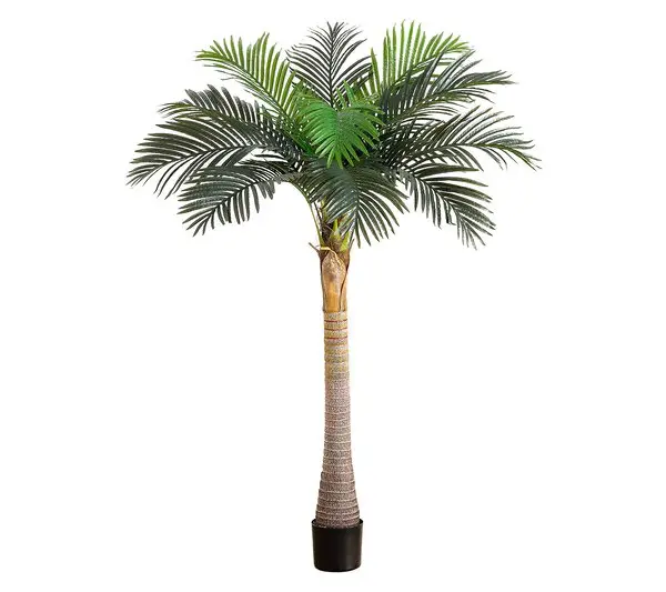 NEARLY NATURAL 6' Artificial Coconut Palm Tree - One-color
