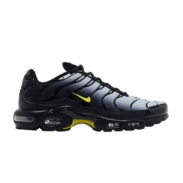 Nike Air Max Plus Sneakers - Grey