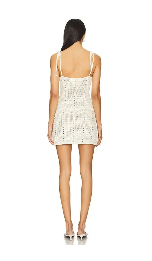 Devon Windsor Katherine Crochet Mini Dress