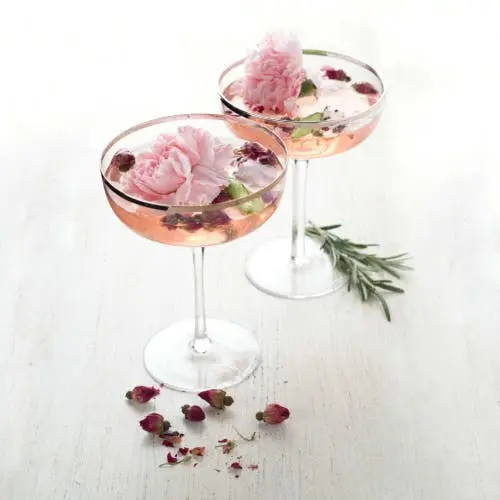 TWINE Copper Rim Crystal Coupes Set Of 2
