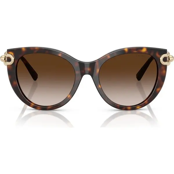 Tiffany & Co. 53mm Butterfly Sunglasses - Havana /brown Gradient