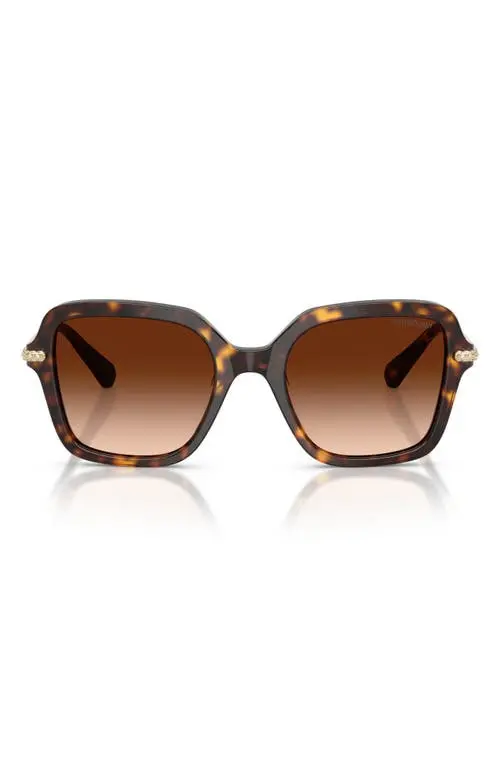 SWAROVSKI 50mm Irregular Sunglasses - Havana /gradient Brown