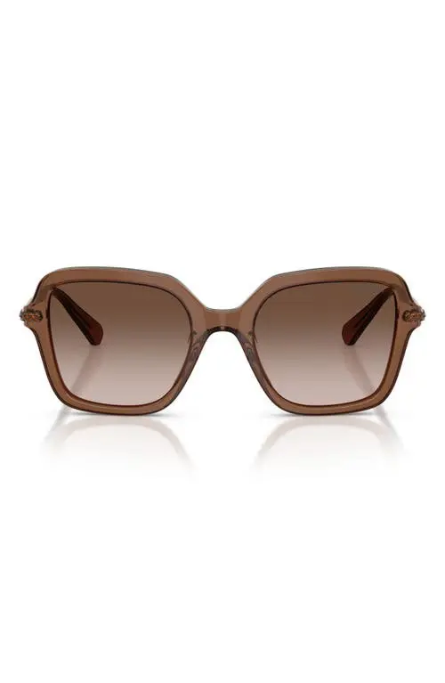 SWAROVSKI 50mm Irregular Sunglasses - Transparent Brown / Brown