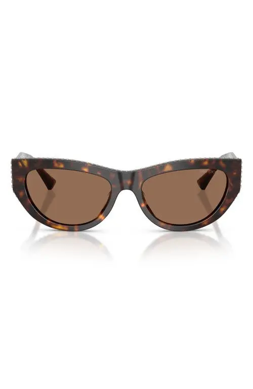 JIMMY CHOO 54mm Cat Eye Sunglasses - Havana/ Dark Brown
