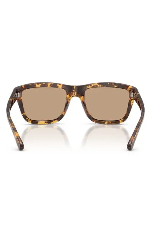 DIESEL® 55mm Square Sunglasses - Havana/ Solid Brown