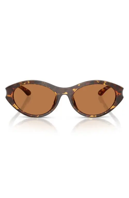 DIESEL® Oval Sunglasses - Havana/ Solid Brown