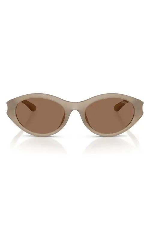 DIESEL® Oval Sunglasses - Opal Transpar Grey/ Dark Brown