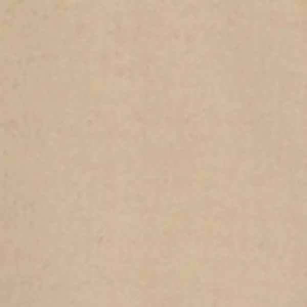 BOSS Camel Hair Overcoat
