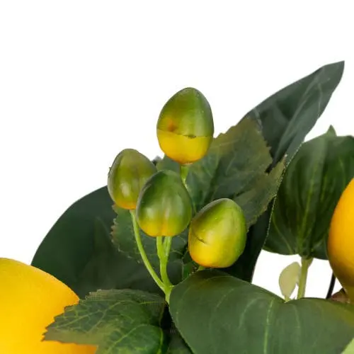 NORTHLIGHT Lemon And Foliage Artificial Wreath
