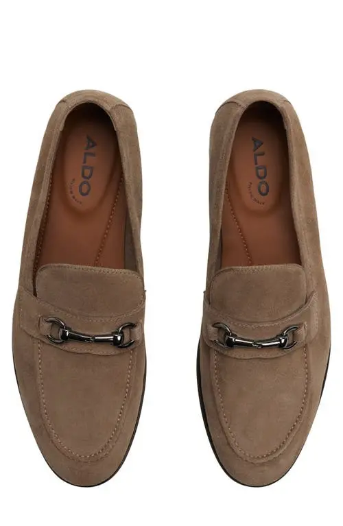 Aldo Traveller Bit Loafer