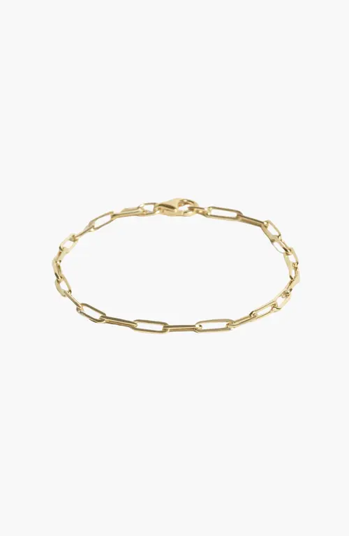 KINN Paperclip Link Chain Bracelet - Gold