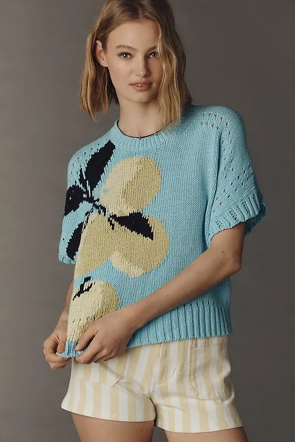 Maeve Veggie Motif Graphic Sweater - Light Blue