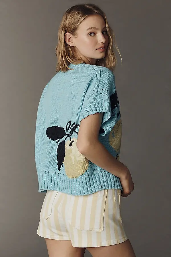 Maeve Graphic Intarsia Crew-neck Pullover Sweater - Light Blue