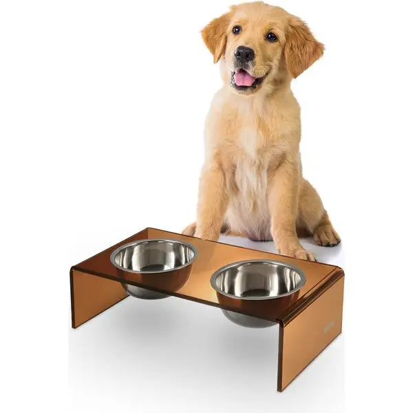 THE LICKER STORE Keaton Modern Lucite Rectangular Elevated Pet Feeder With 2-stainless Steel Bowls - Amber/chrome