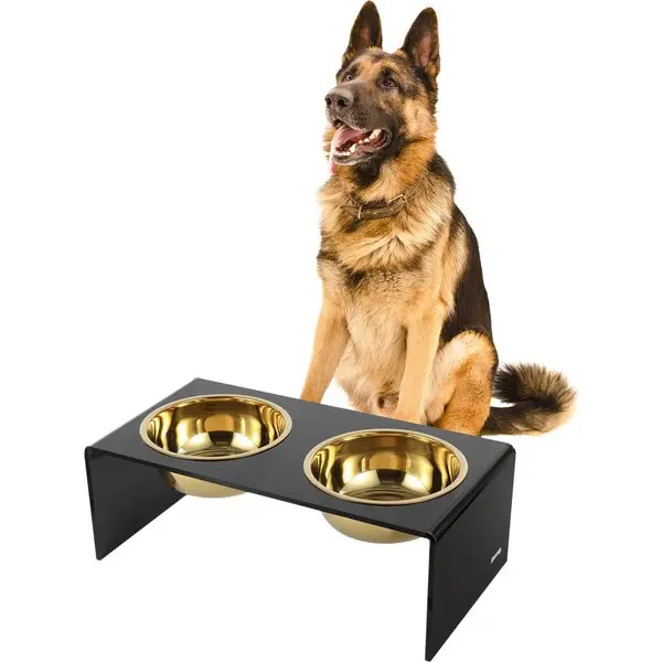 THE LICKER STORE Keaton Modern Lucite Rectangular Elevated Pet Feeder With 2-stainless Steel Bowls - Black/gold