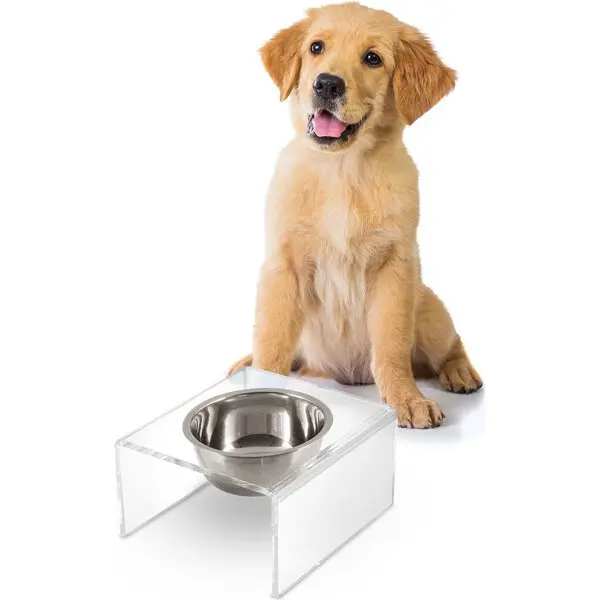 THE LICKER STORE Keaton Modern Lucite Rectangular Elevated Pet Feeder With 2-stainless Steel Bowls - Clear/chrome - Single