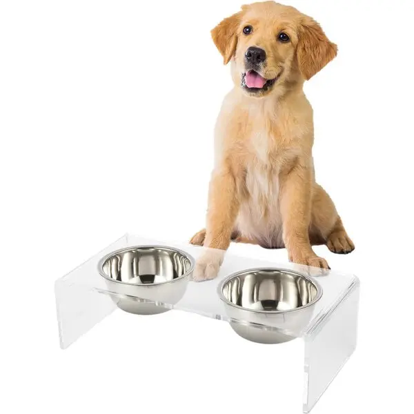THE LICKER STORE Keaton Modern Lucite Rectangular Elevated Pet Feeder With 2-stainless Steel Bowls - Clear/chrome