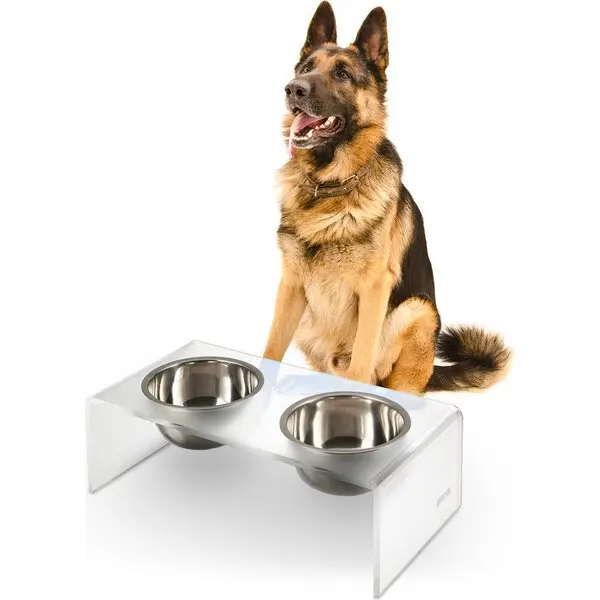 THE LICKER STORE Keaton Modern Lucite Rectangular Elevated Pet Feeder With 2-stainless Steel Bowls - Moon White/chrome