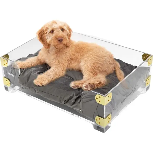 THE LICKER STORE Haines 21.5" X 15.25" Small/medium Modern Lucite Velvet Pet Bed With Washable Cushion - Dark Gray/clear/brass Gold