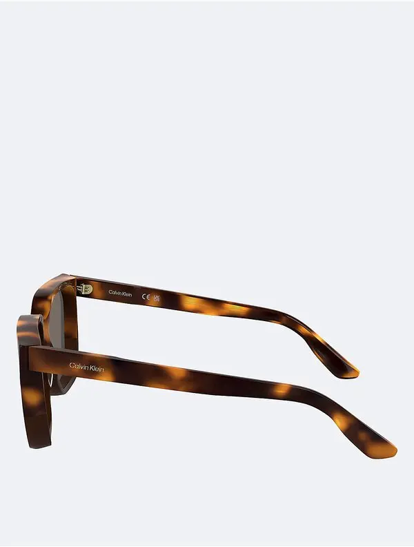 Calvin Klein Acetate Rectangle Sunglasses - Havana/brown