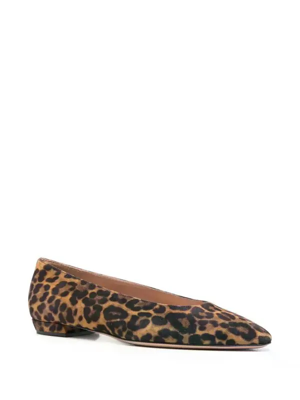 GIANVITO ROSSI Amelia Leopard Print Ballerinas - Black