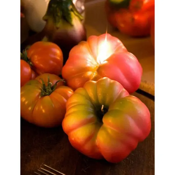 INTRONA Pomodoro Tomato Wax Candle 220g