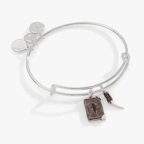 ALEX AND ANI Harry Potter™ Diary And Basilisk Fang Bangle Bracelet - Silver