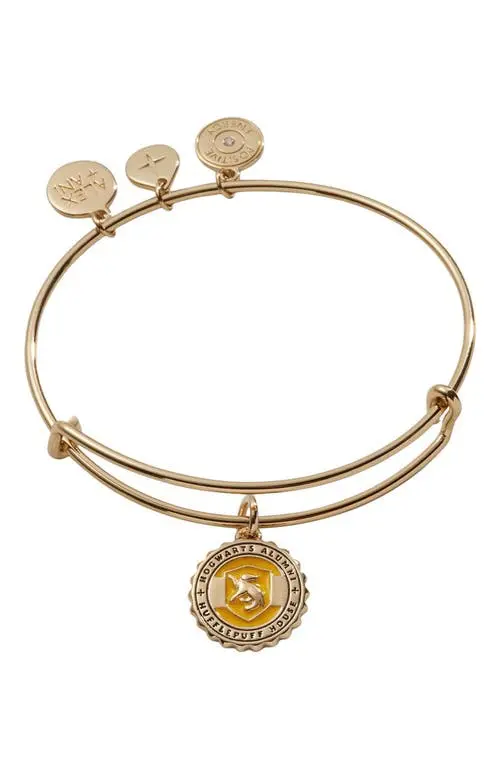 ALEX AND ANI Harry Potter™ Hufflepuff House Charm Bangle Bracelet - Gold