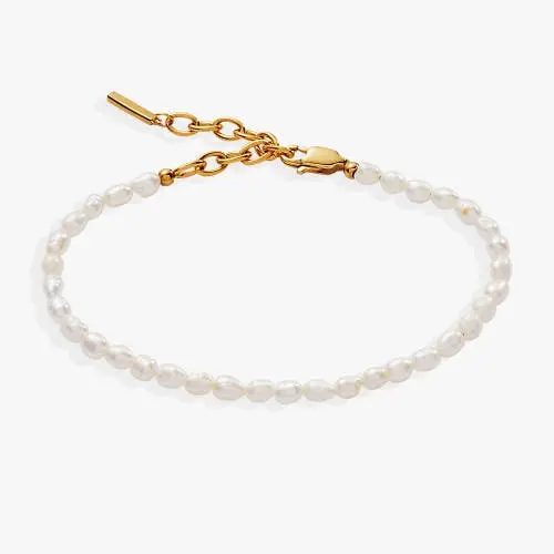 ALEX AND ANI Freshwater Bracelet - Pearl