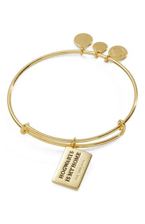 ALEX AND ANI Harry Potter™ Acceptance Letter Charm Bangle Bracelet