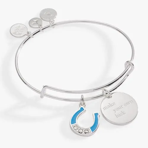 ALEX AND ANI Make Your Own Luck Duo Charm Bangle Bracelet - Silver