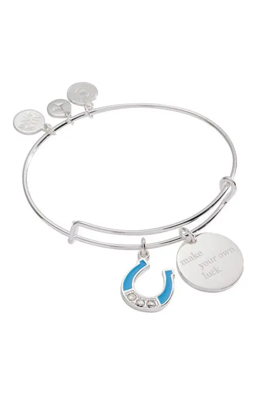 ALEX AND ANI Make Your Own Luck Duo Charm Bangle Bracelet - Silver