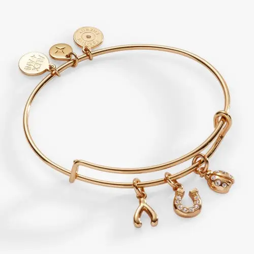 ALEX AND ANI Love And Luck Multi-charm Bangle Bracelet - Gold